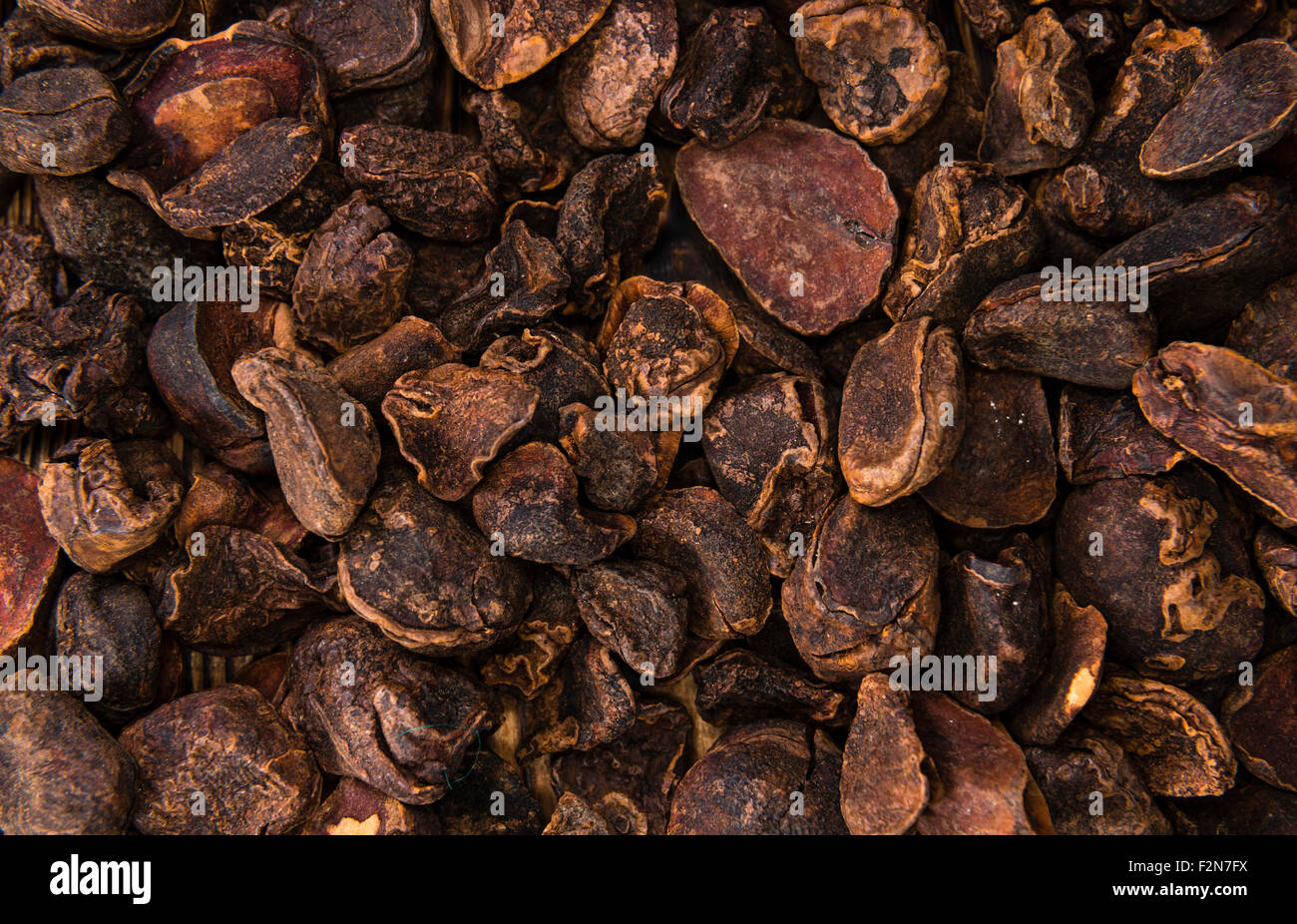 Whole dried Cola Nuts for use as background image or as texture (close ...
