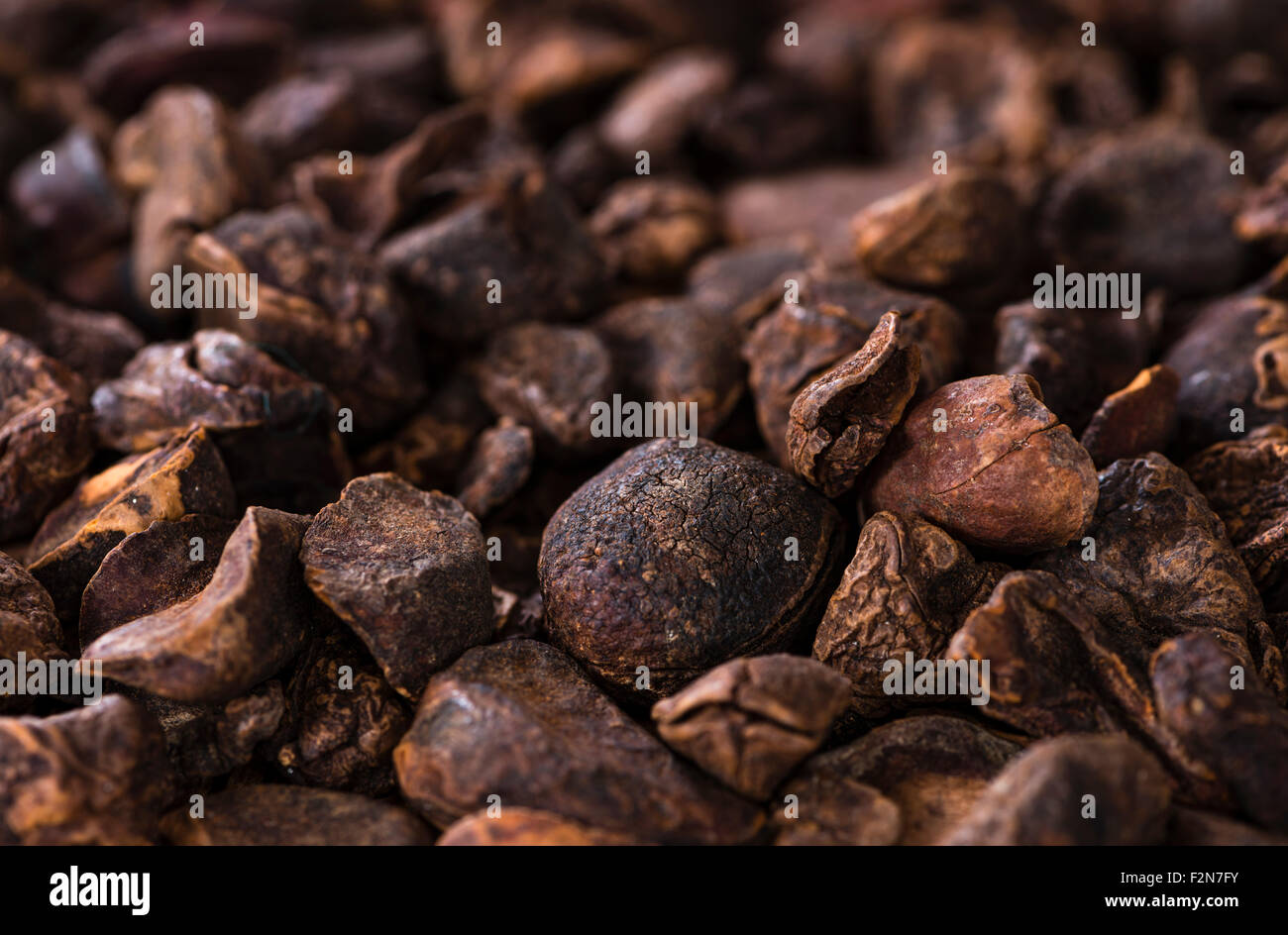 Whole dried Cola Nuts for use as background image or as texture (close ...
