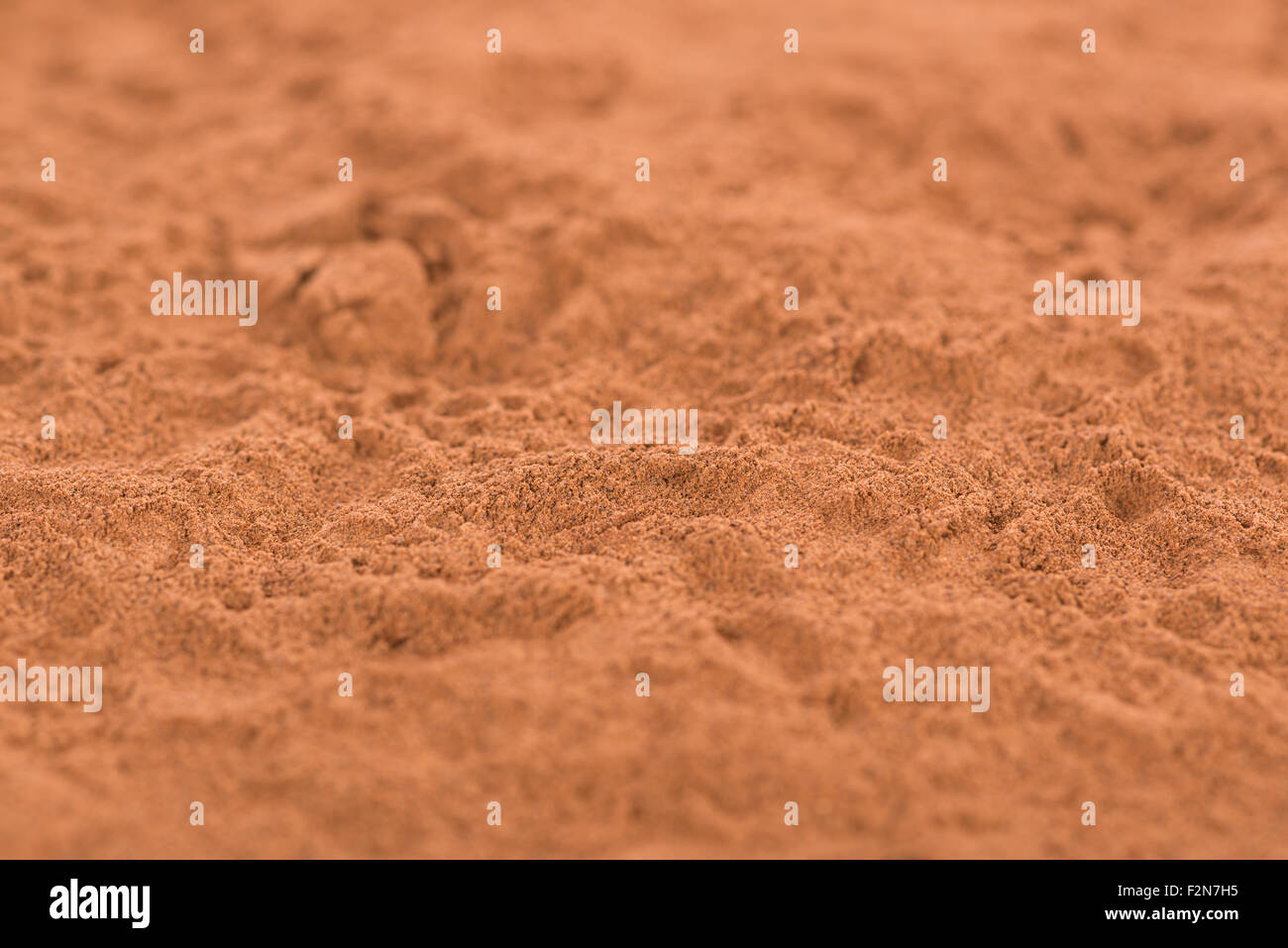 Cola Nut Powder for use as background image or as texture Stock Photo ...