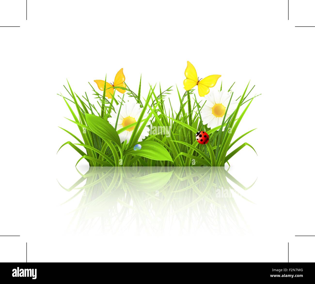 Sedge grass Stock Vector Images - Alamy
