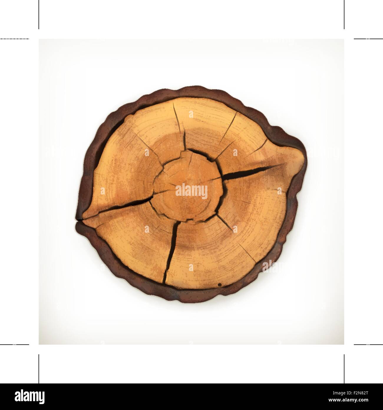 Annual age rings Stock Vector Images - Alamy