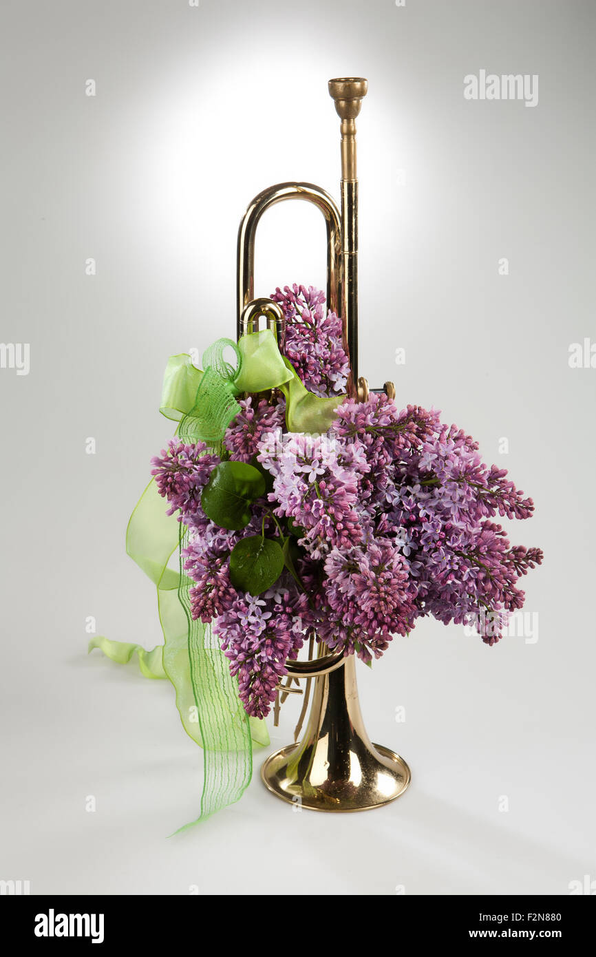 flowers bouquet isolated close up nature art design composition ...