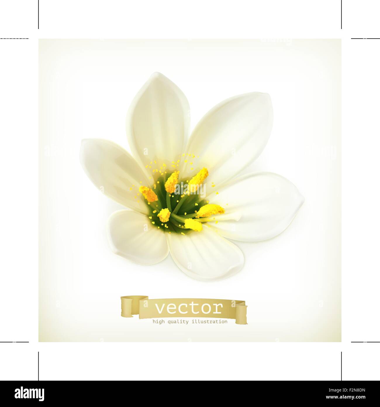 White flower, vector illustration Stock Vector Image & Art - Alamy