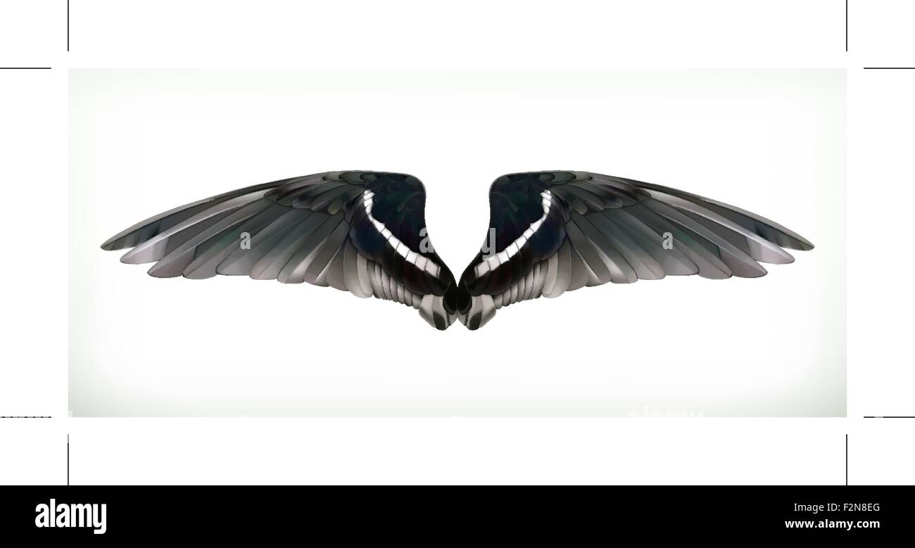 Wings vector illustration Stock Vector Image & Art - Alamy