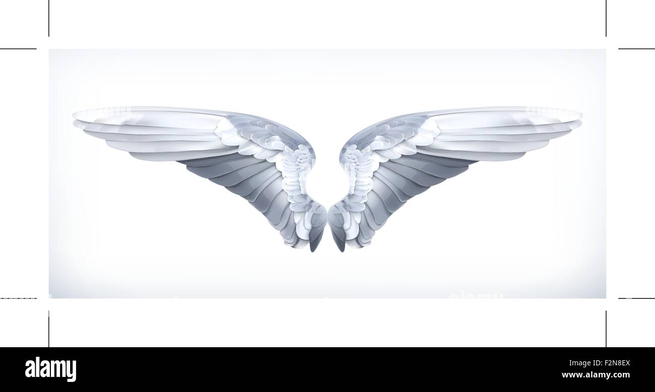 Wings, vector illustration Stock Vector Image & Art - Alamy
