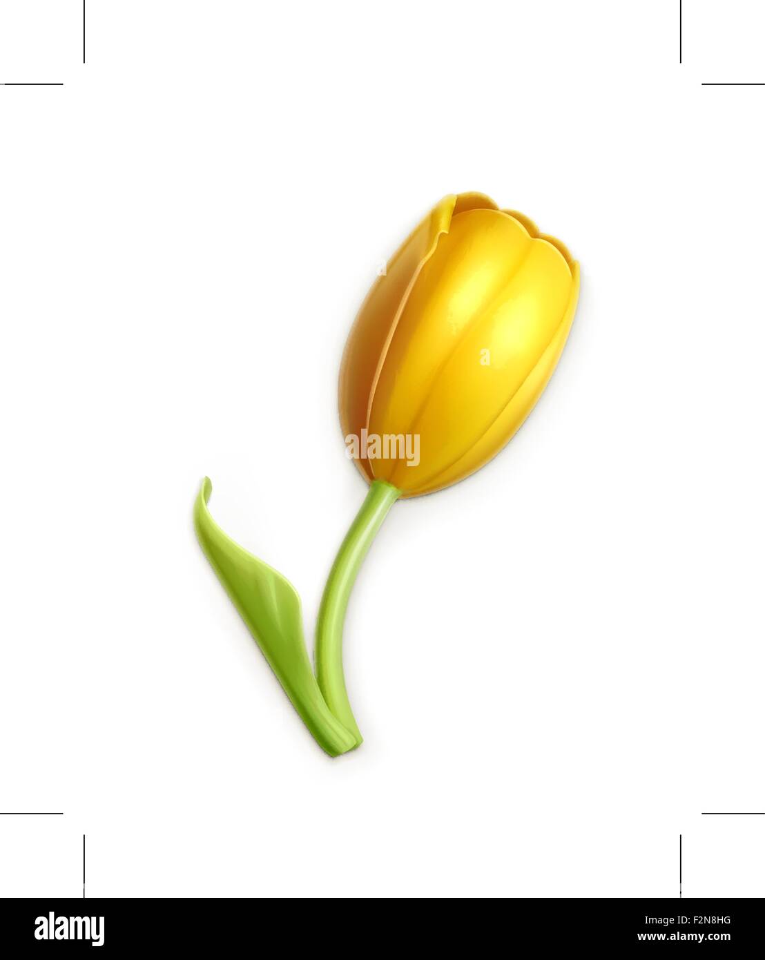 Yellow flower tulip icon isolated Cut Out Stock Images & Pictures - Alamy