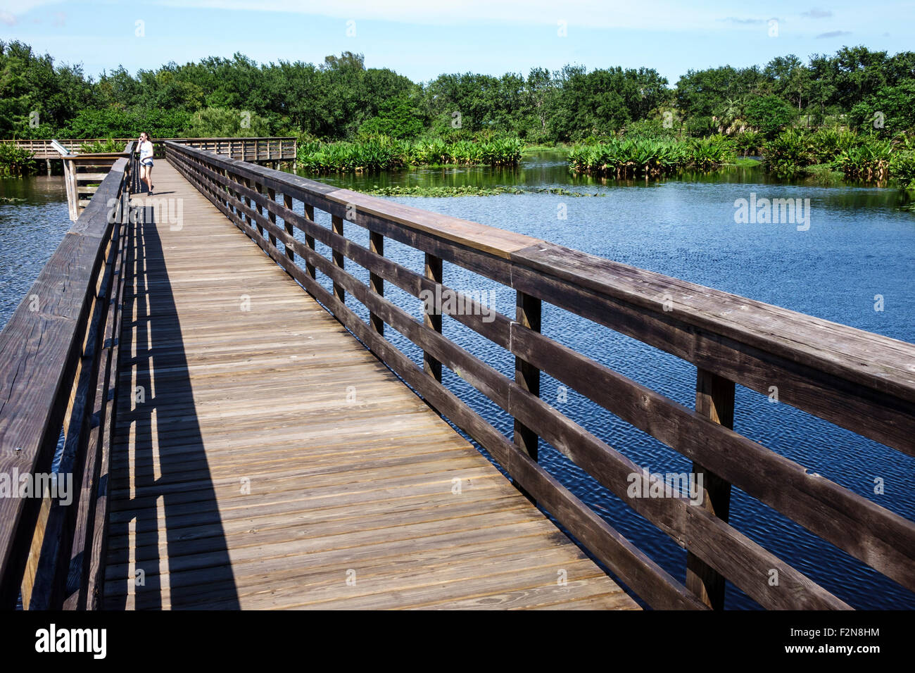 Delray Beach Florida,Wakodahatchee Wetlands,nature,preserve,raised ...