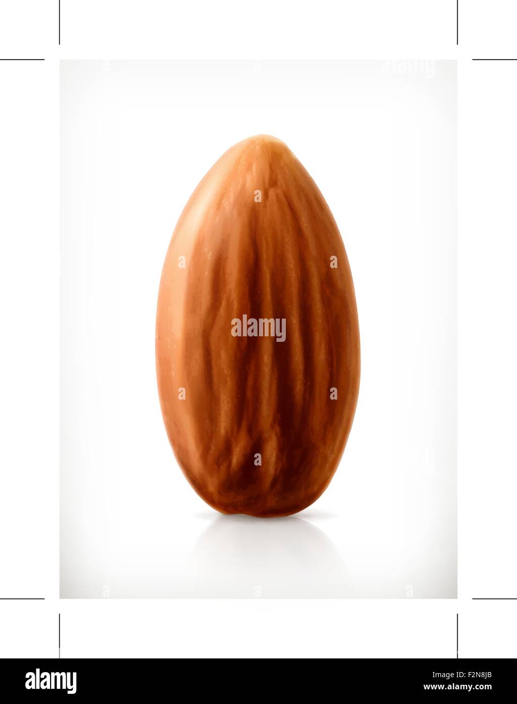 Almond vector vectors hi-res stock photography and images - Alamy