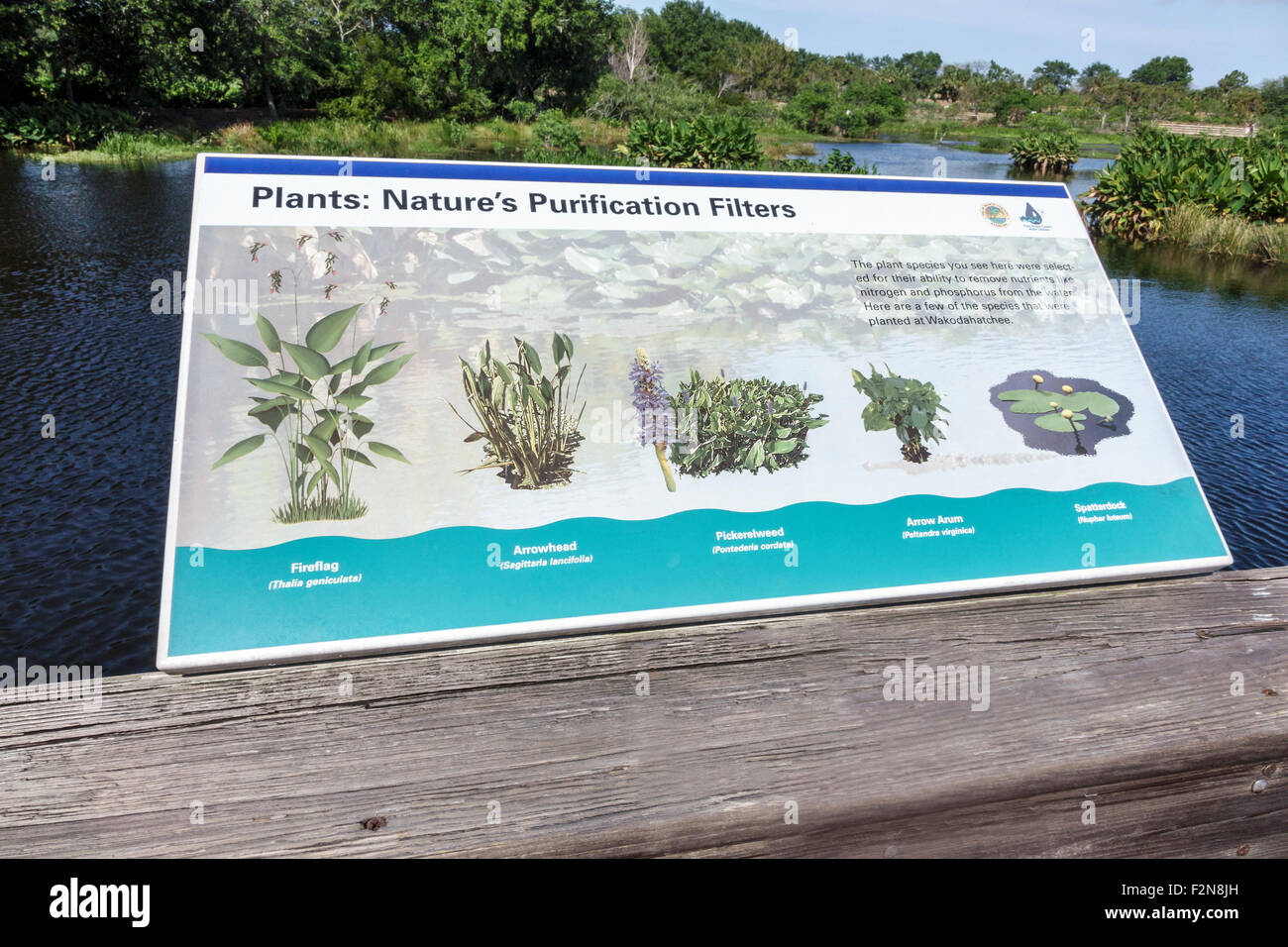 Delray Beach Florida,Wakodahatchee Wetlands,nature,preserve,sign ...