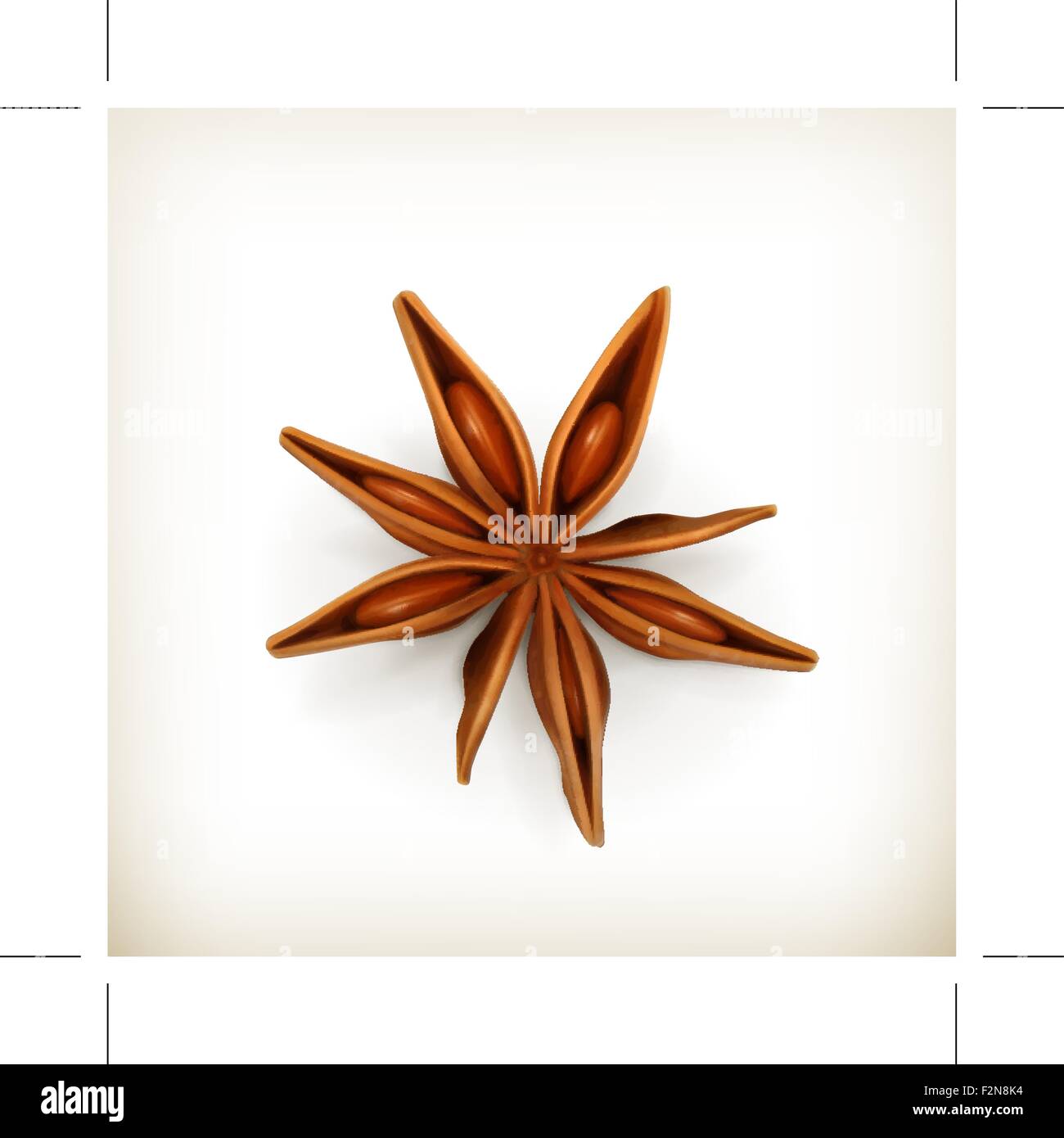 Anise pod Stock Vector Images - Alamy