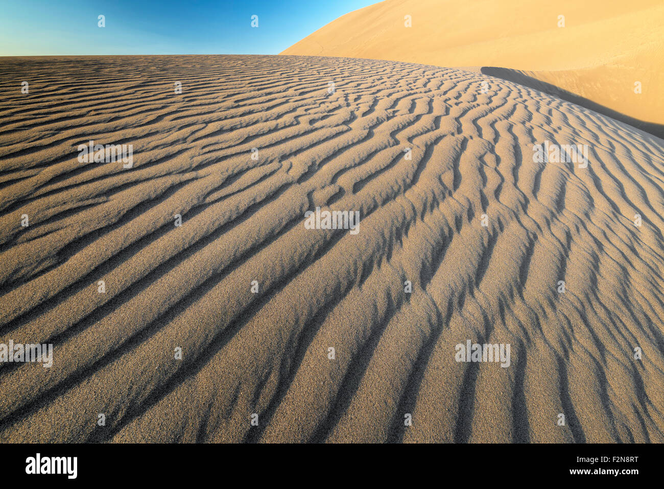 Ripples in the sand at the desert Stock Photo - Alamy