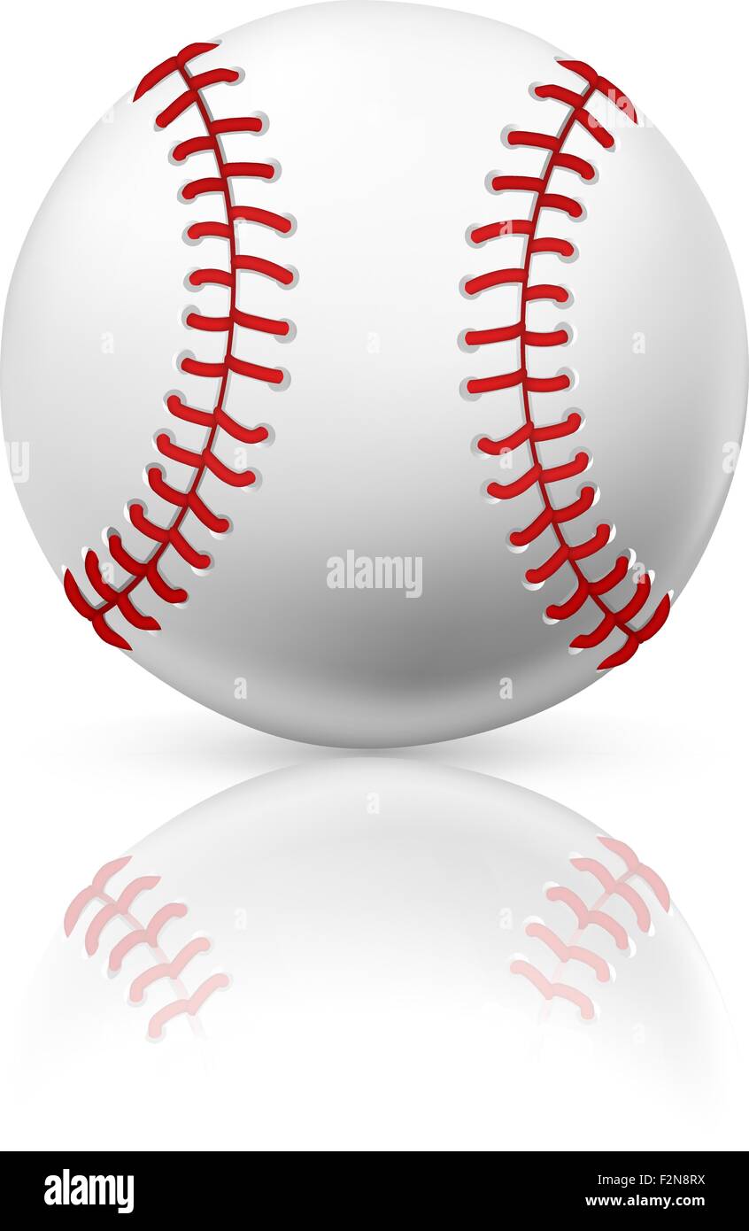 Baseball Vector Graphic
