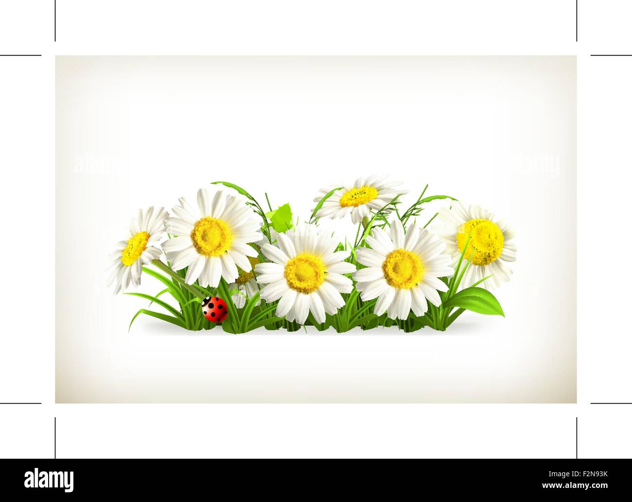 Daisies in grass, vector Stock Vector Image & Art - Alamy
