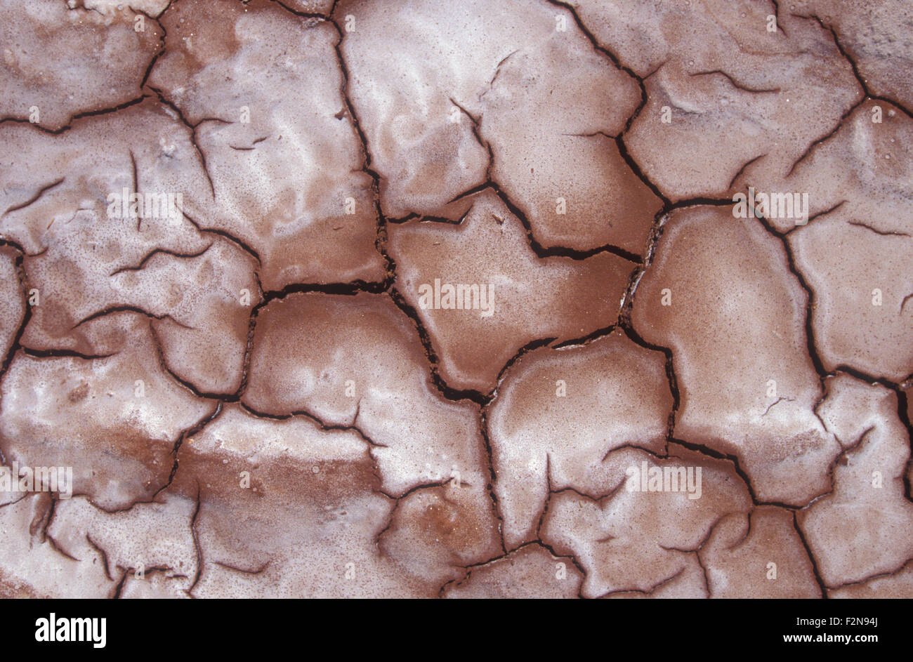 Dried mud following extreme drought conditions in outback Australia ...