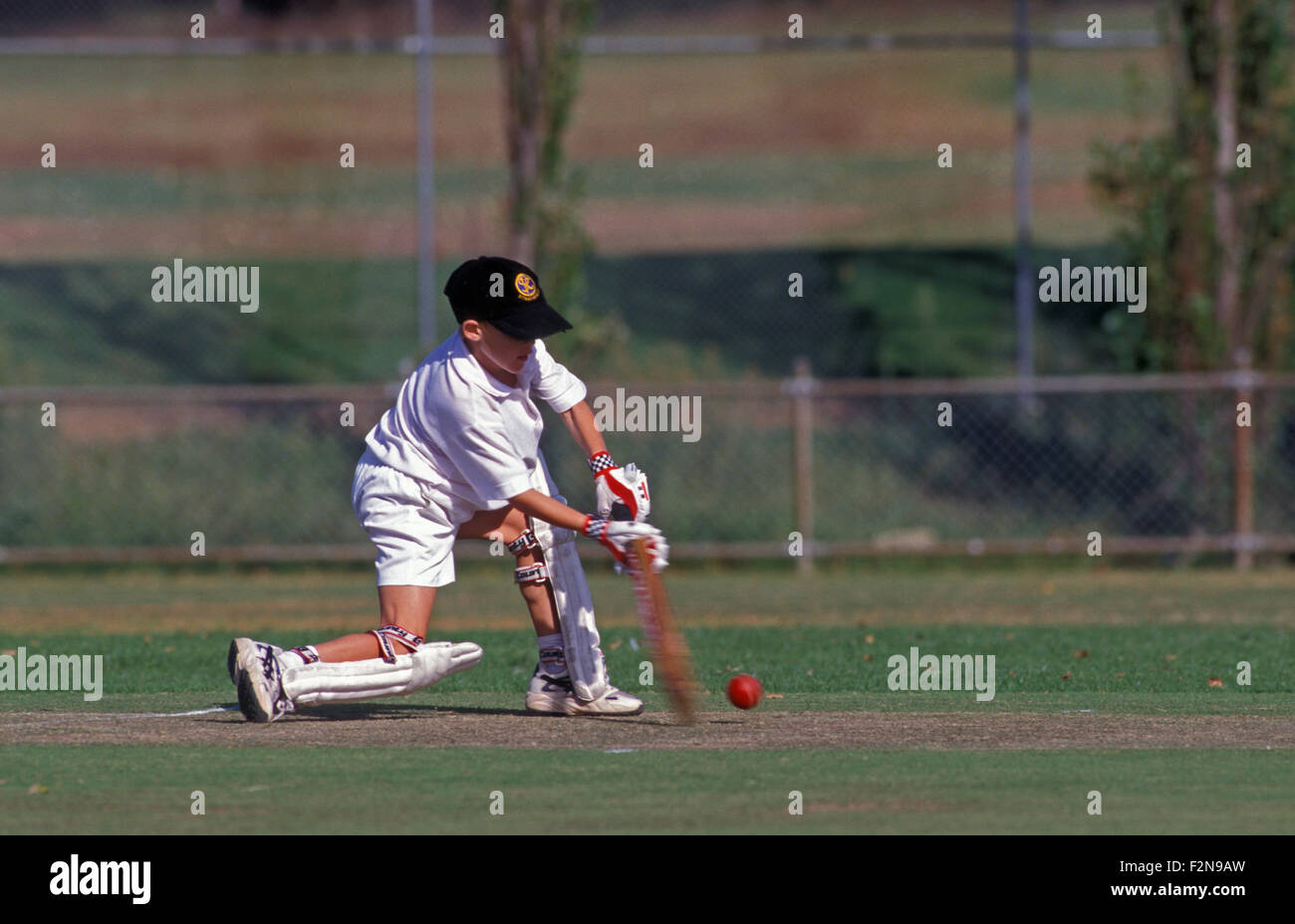 Children playing cricket australia hi-res stock photography and images ...