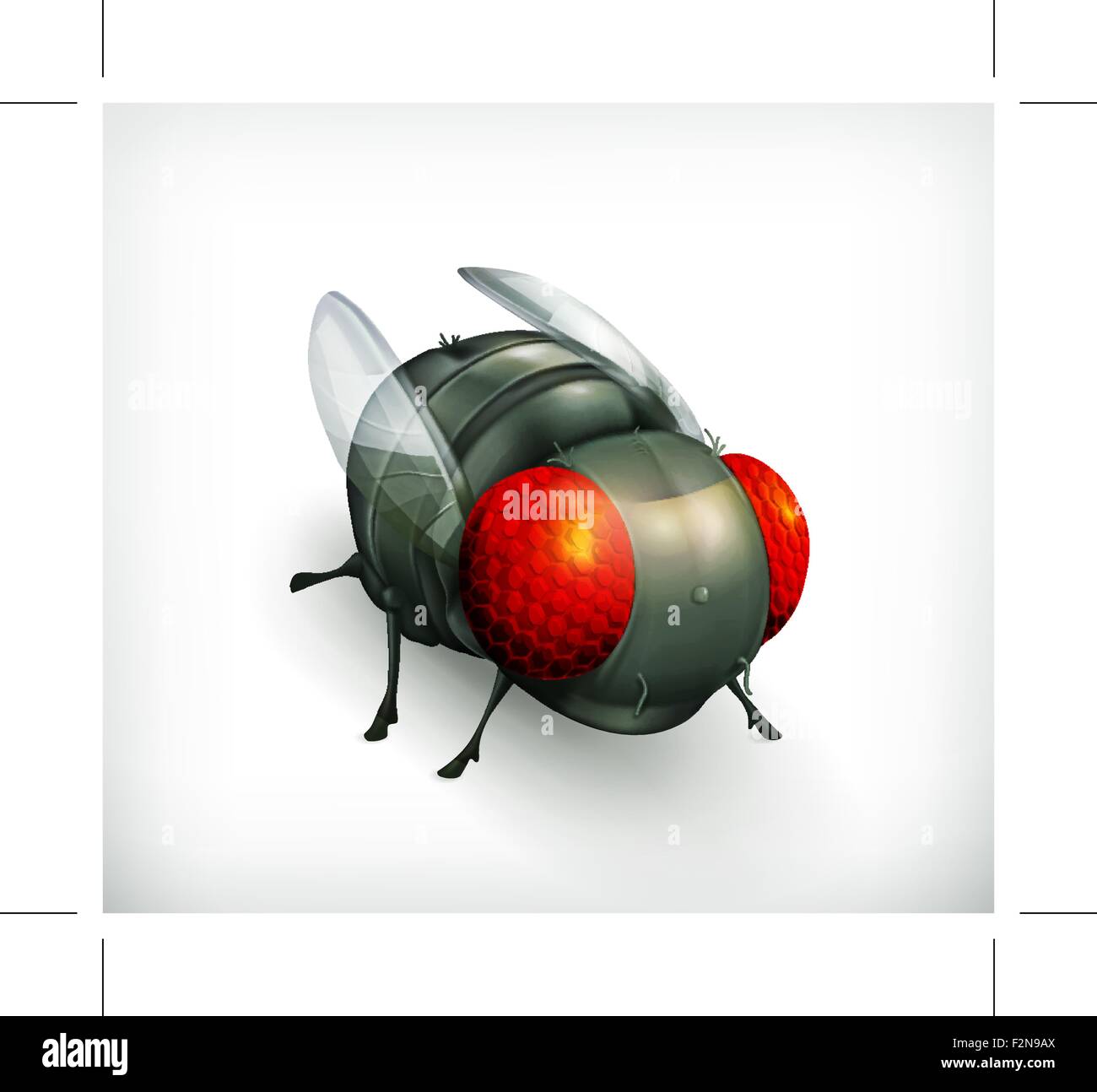 Fly, vector icon Stock Vector Image & Art - Alamy
