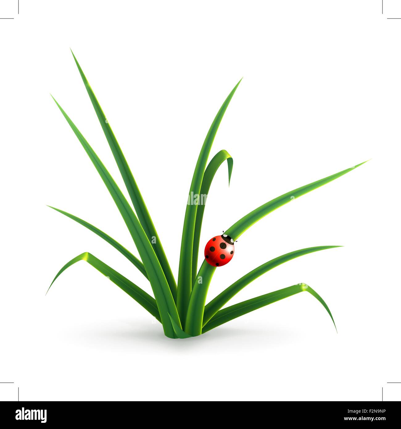 Ladybug and grass, vector Stock Vector Image & Art - Alamy