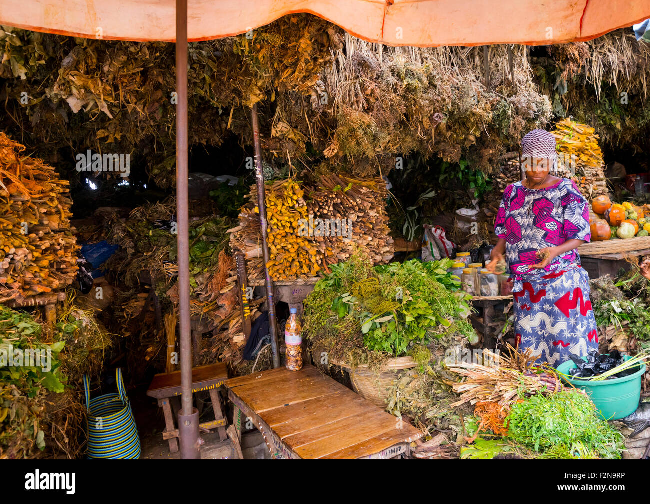 Benin, West Africa, Cotonou, herbs used for traditional medicine in ...
