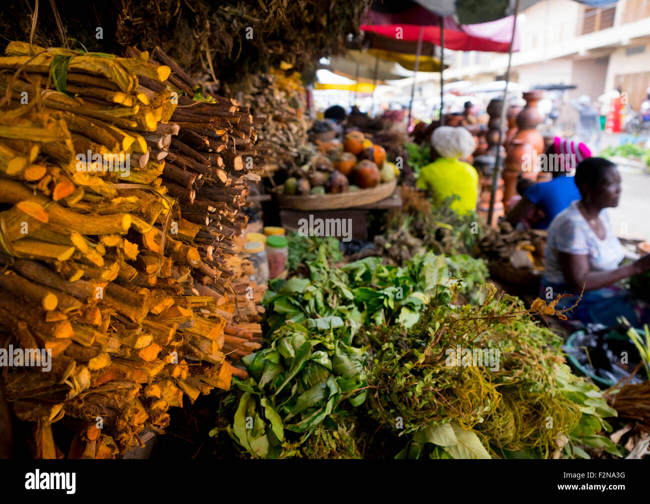 Benin, West Africa, Cotonou, herbs used for traditional medicine in ...