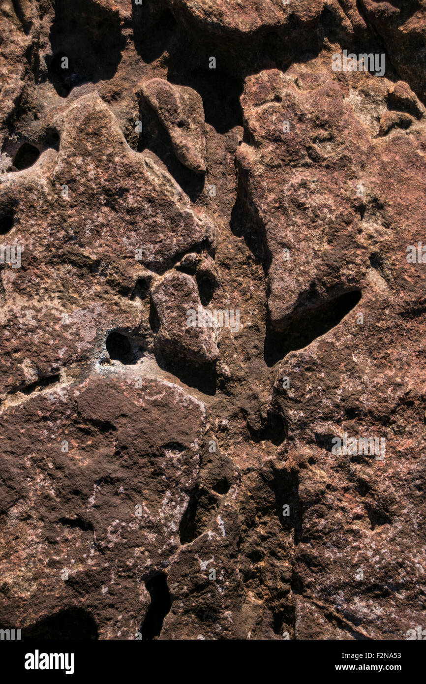 Sauropod footprint hi-res stock photography and images - Alamy