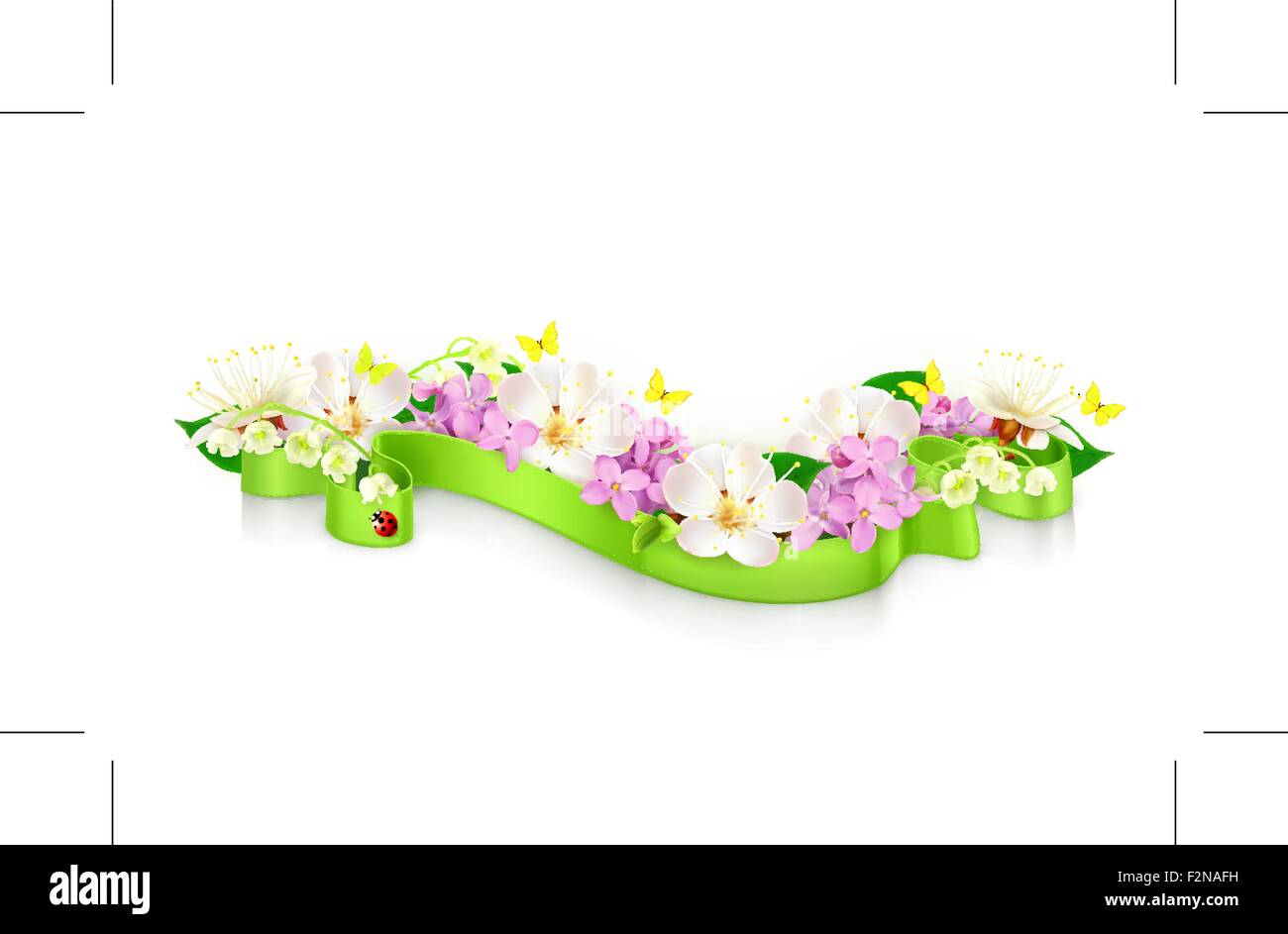 Spring flowers and ribbon, vector Stock Vector Image & Art - Alamy