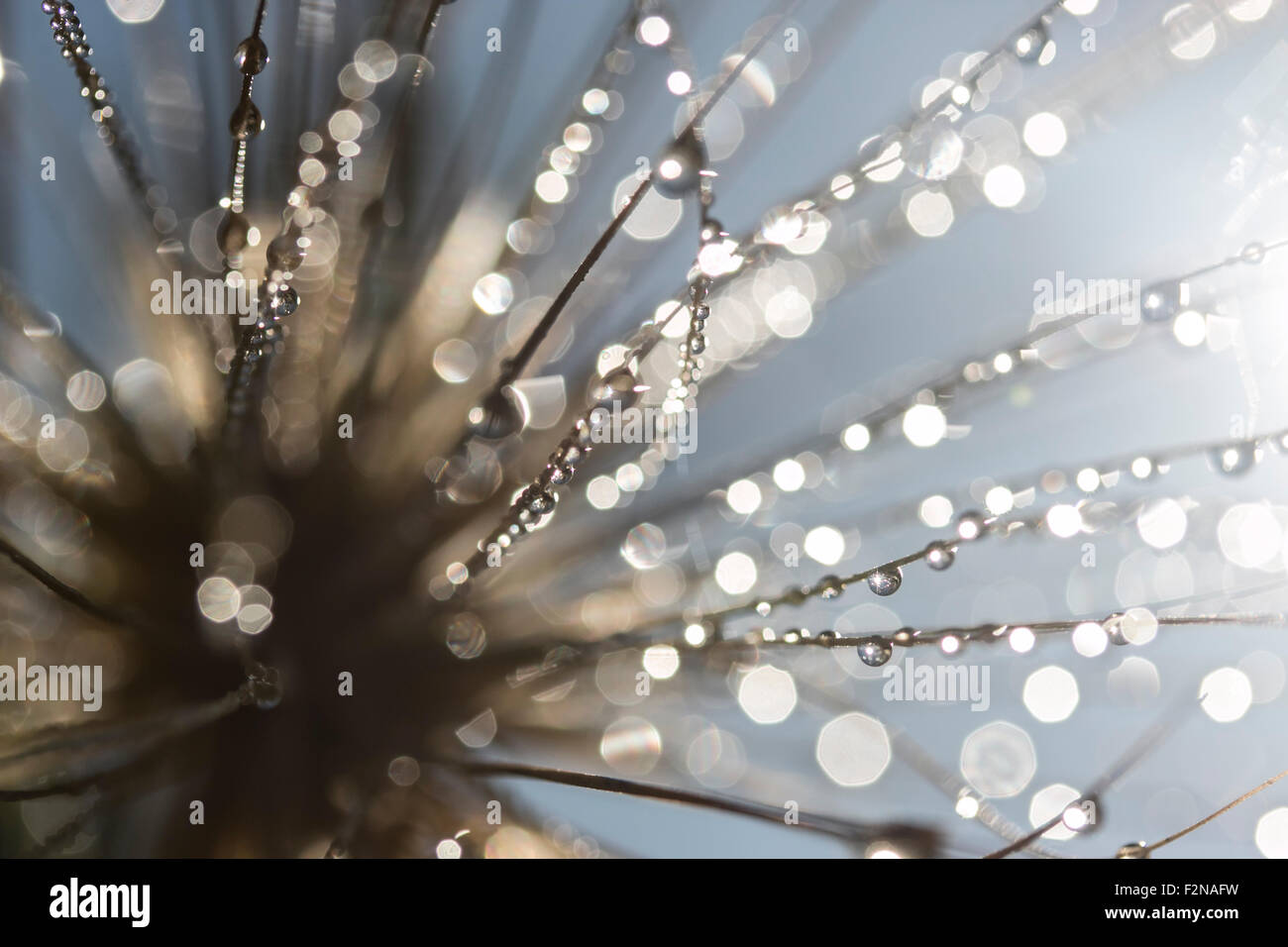 Australian Morning Light High Resolution Stock Photography and Images ...