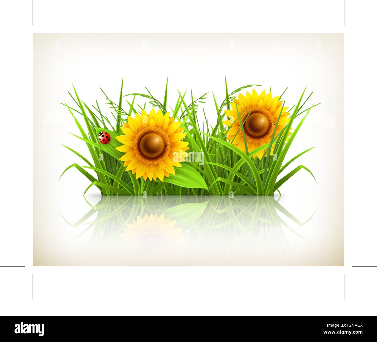 Weed leaf concept horizontal Stock Vector Images - Alamy