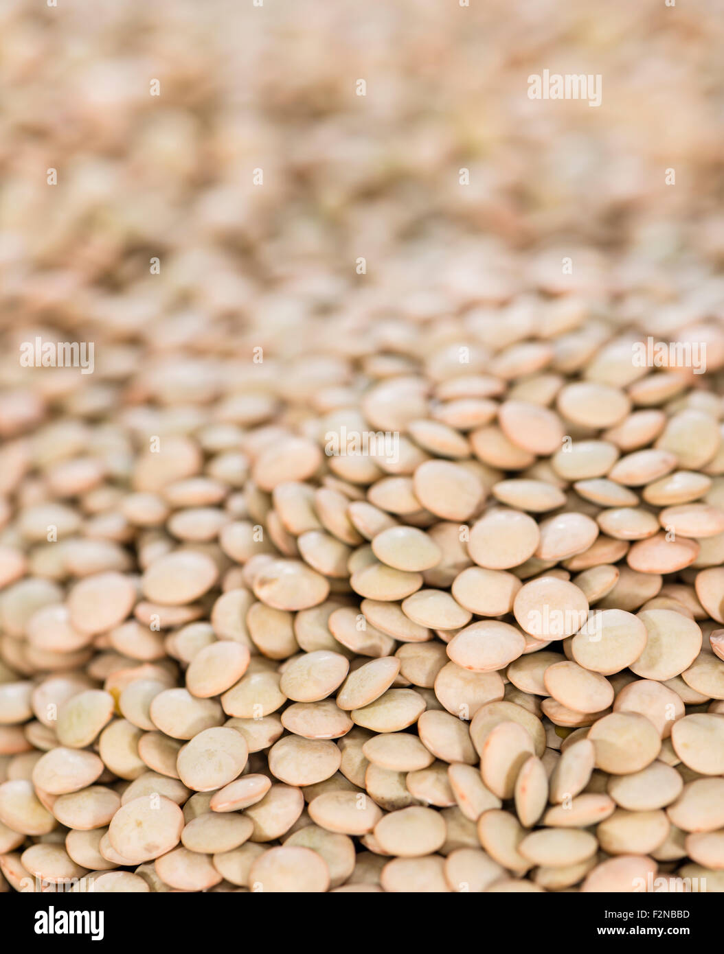 Brown Lentils for use as background image or as texture Stock Photo - Alamy