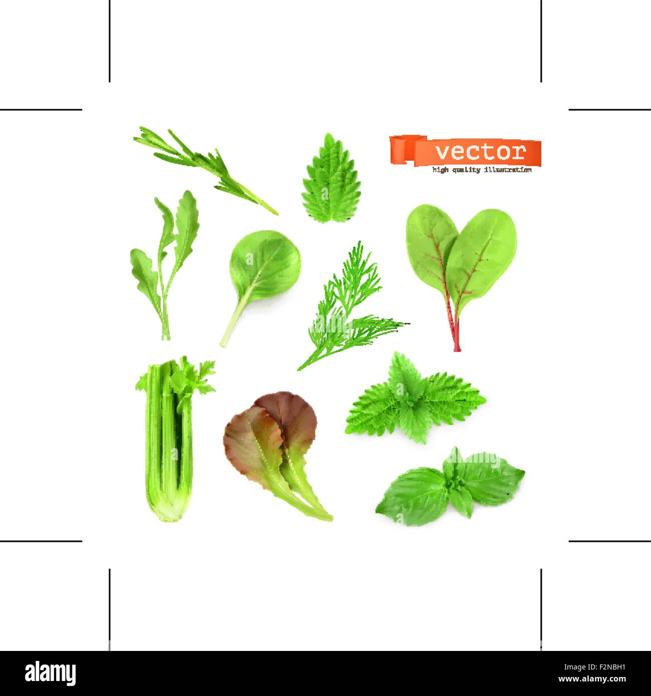 Herbs set, vector illustration Stock Vector Image & Art - Alamy