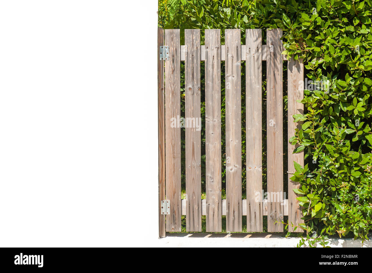 Wooden gate and green plant near white wall with copy space Stock Photo ...