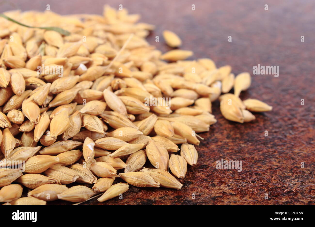 Heap of organic whole barley grain Stock Photo - Alamy