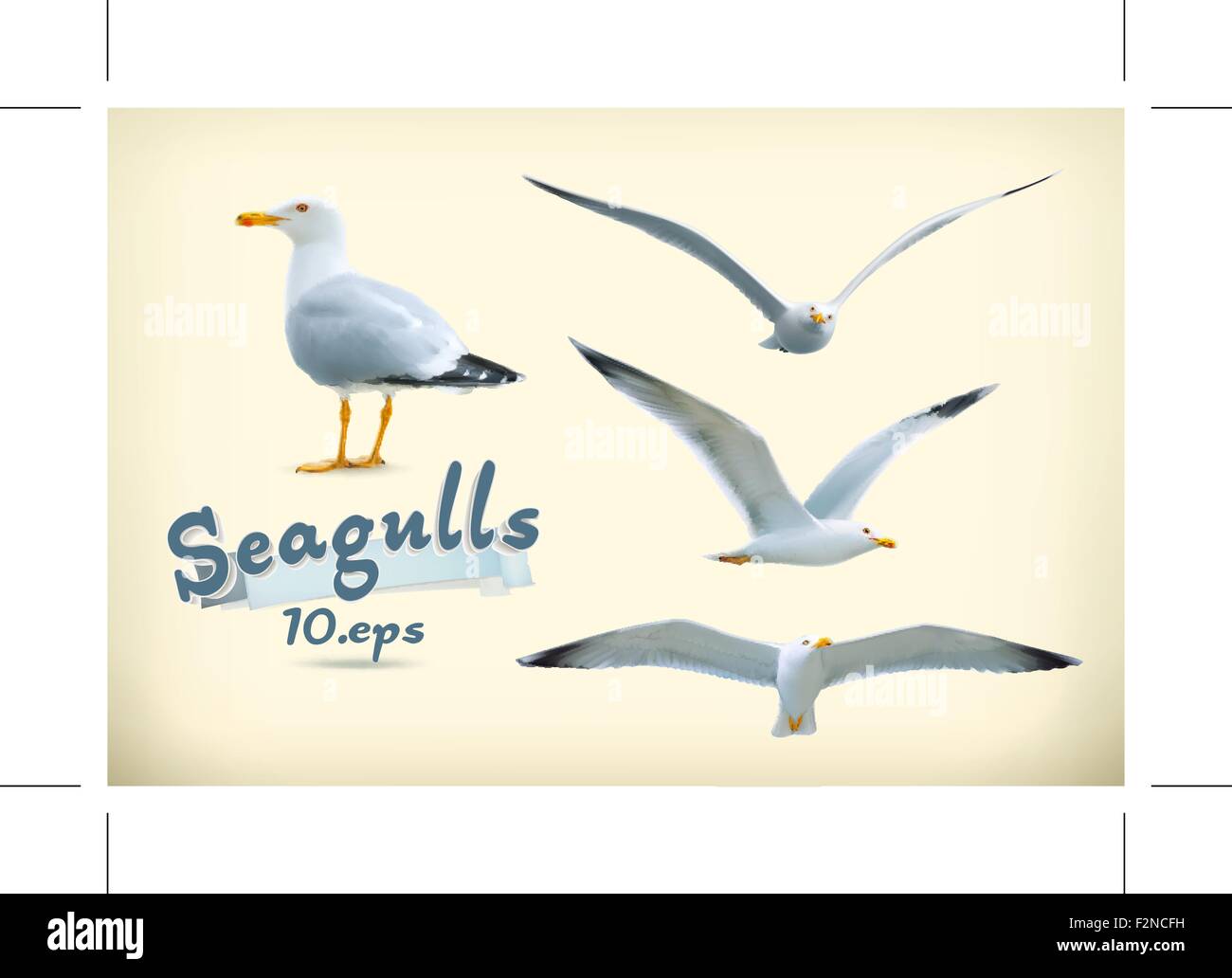 Sea gulls vector icon set Stock Vector Image & Art - Alamy