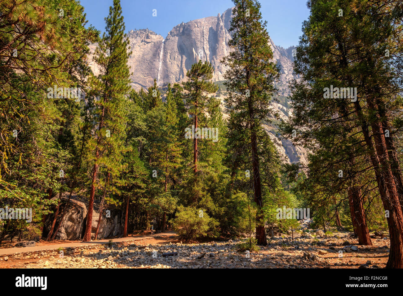 Yosemite Waterfalls behind Sequoias in Yosemite National Park ...