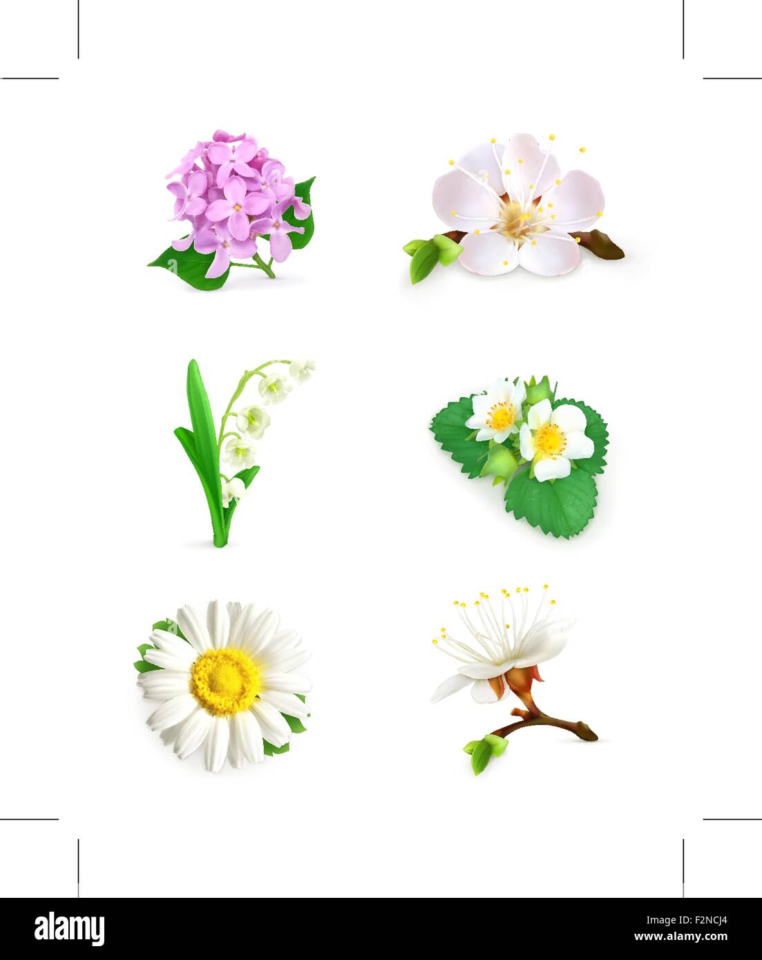 Spring flowers vector set Stock Vector Image & Art - Alamy