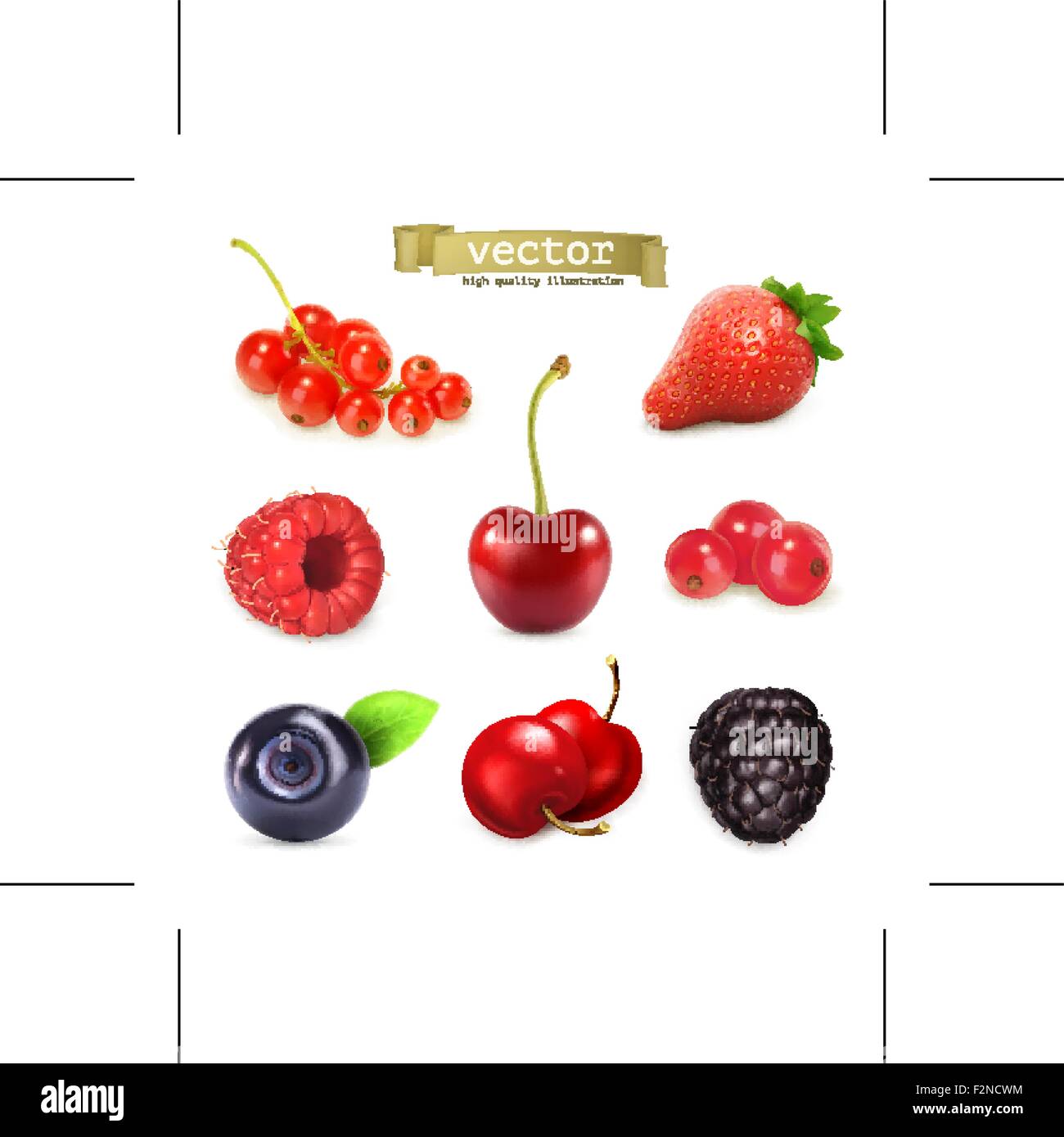 Sweet berries, vector illustration set of high quality Stock Vector ...
