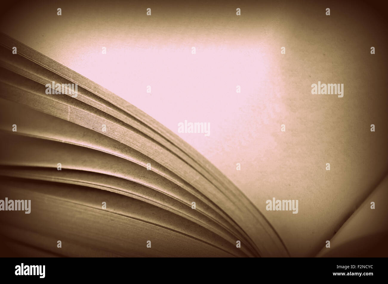 Book open blank page close hi-res stock photography and images - Alamy