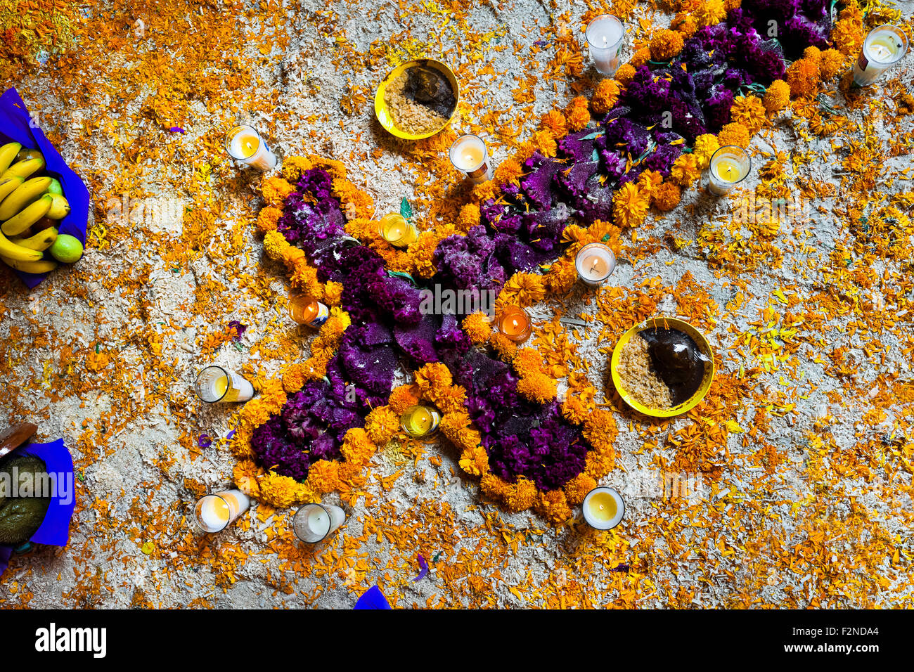 Mexico Flower Cempasuchil High Resolution Stock Photography and Images ...
