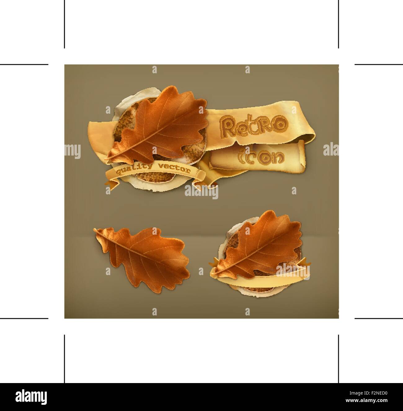 Oak leaf detail Stock Vector Images - Alamy