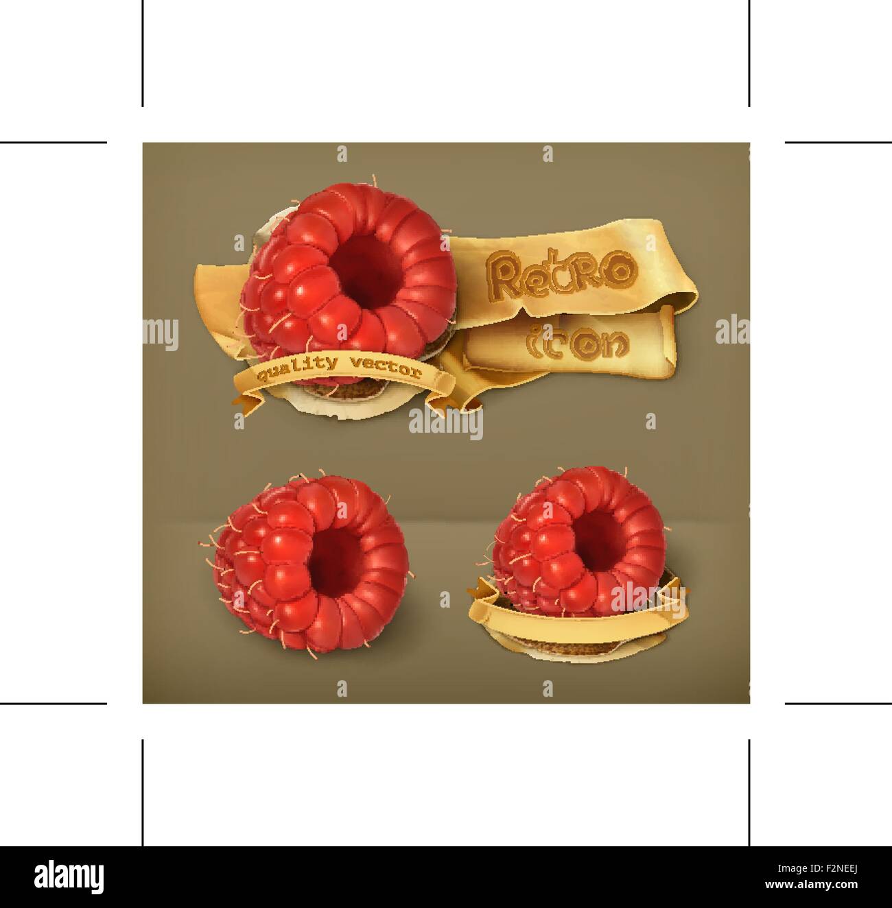 Raspberry, retro vector icon Stock Vector Image & Art - Alamy