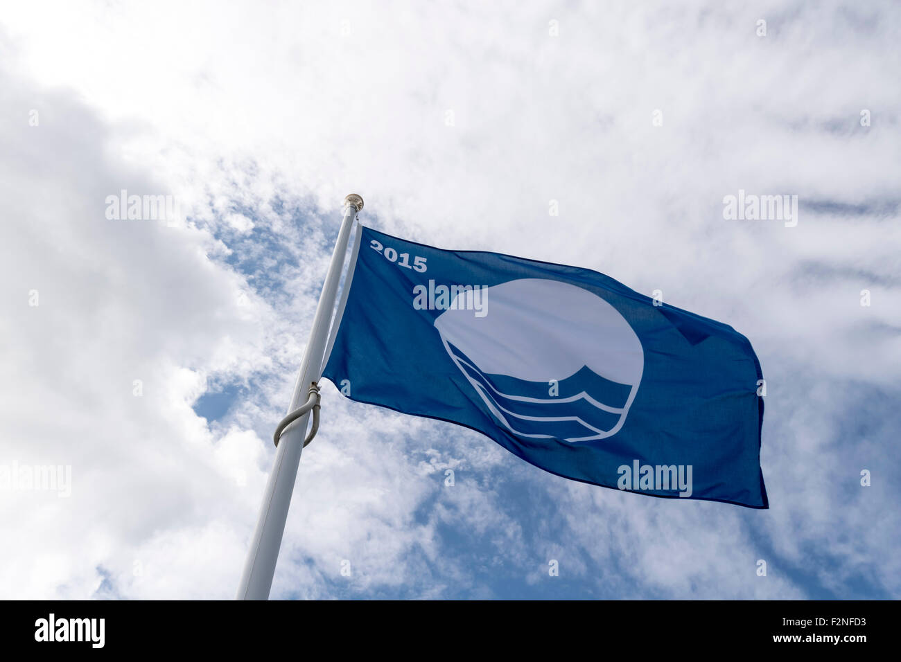 Blue flag hi-res stock photography and images - Alamy