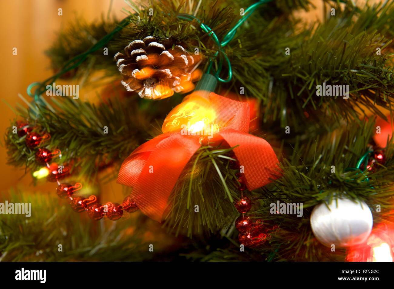 Zoomed Image Of Tree High Resolution Stock Photography and Images - Alamy