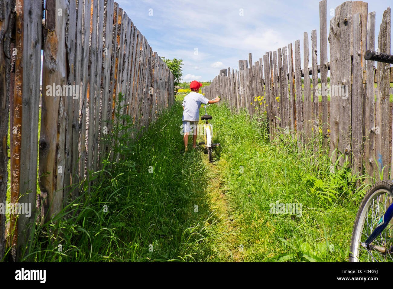 Mari boy pushing bicycle between fences Stock Photo - Alamy
