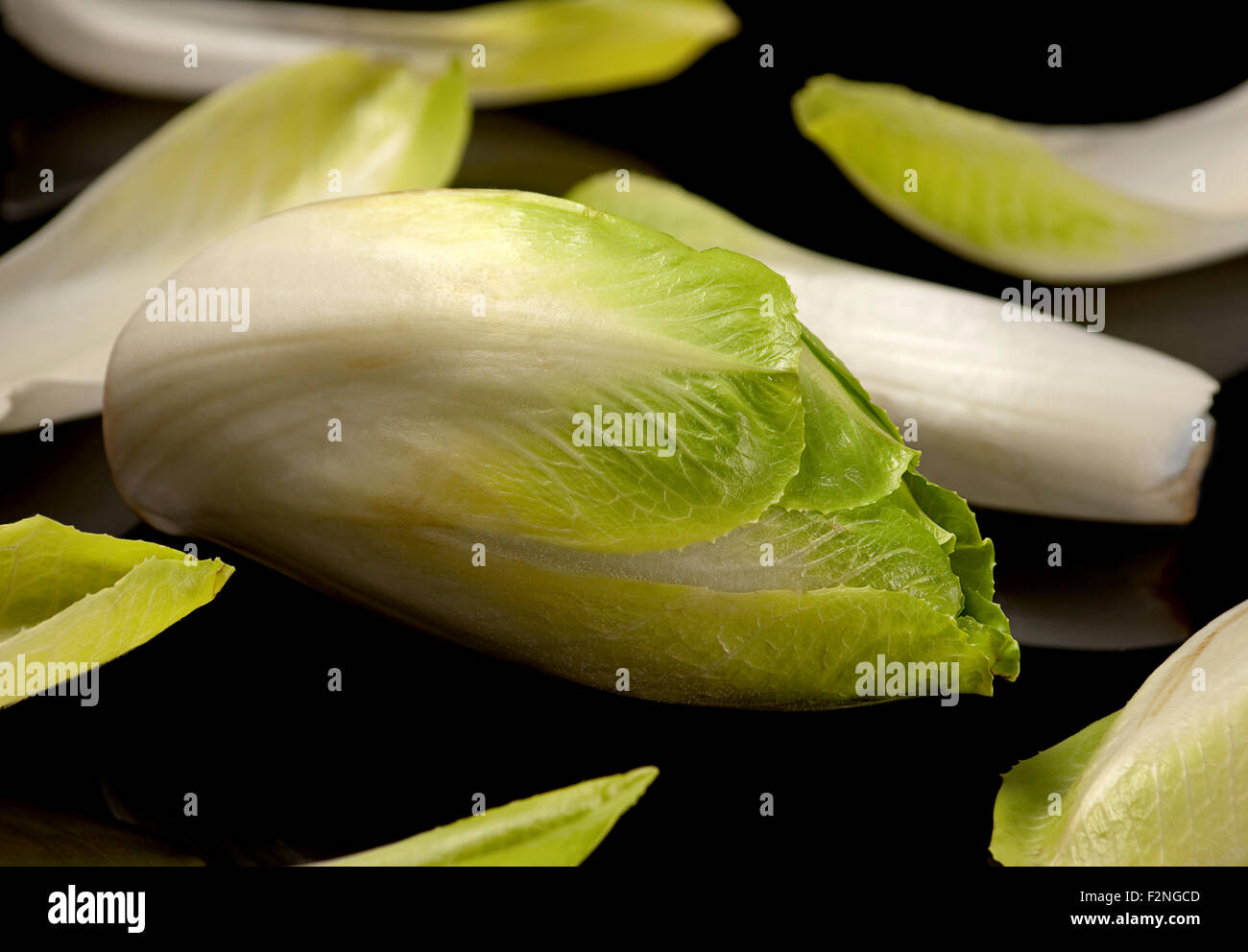 Green chicory vegetable closeup isolated on black Stock Photo - Alamy