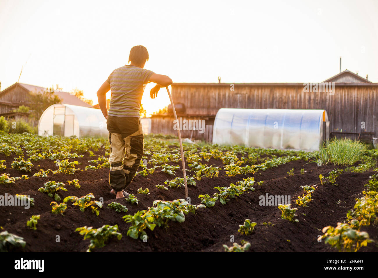 Farmer with hoe hi-res stock photography and images - Alamy