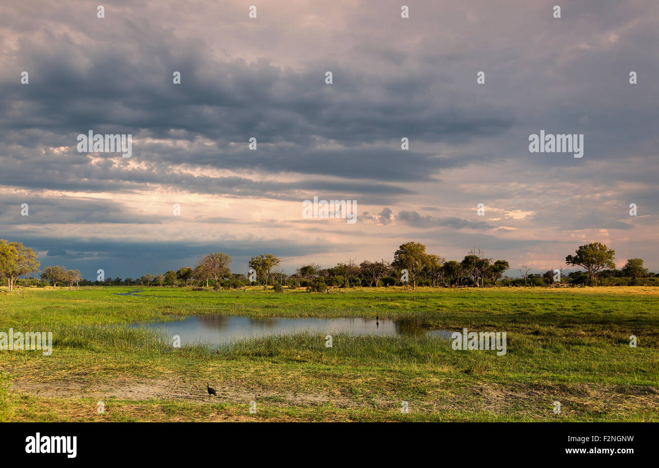Clouds over field in rural landscape Stock Photo - Alamy