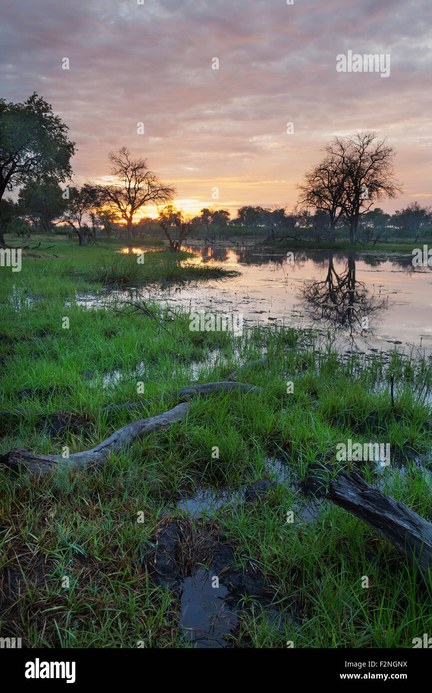 Vertical shot sunset reflecting hi-res stock photography and images - Alamy