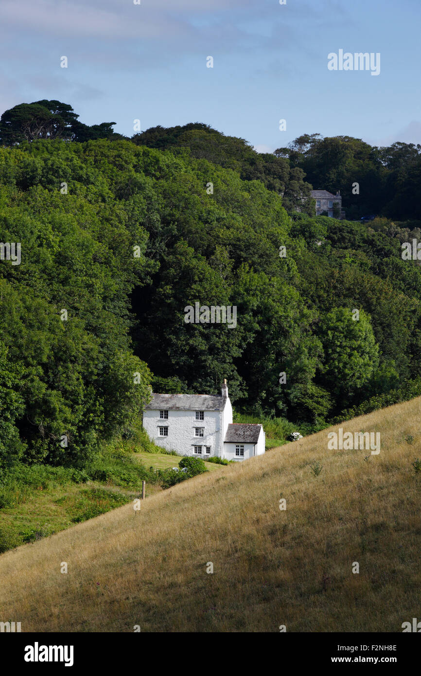 Woodland house hi-res stock photography and images - Alamy