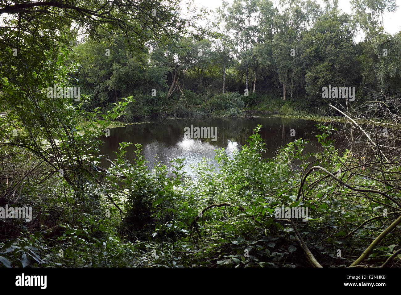Spanbroekmolen Mine Crater, 'The Pool of Peace', Flanders, Belgium ...