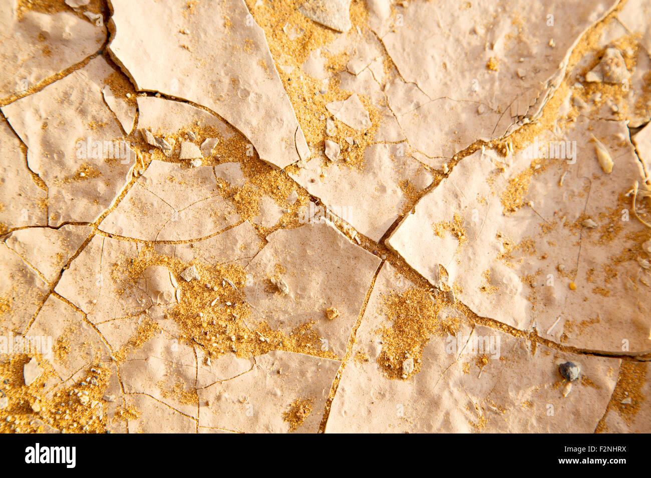 cracked sand in morocco africa desert abstract macro Stock Photo - Alamy
