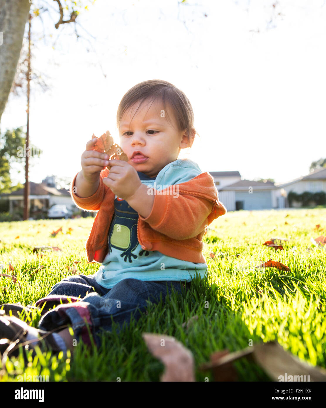 Hispanic children playing leaves hi-res stock photography and images ...